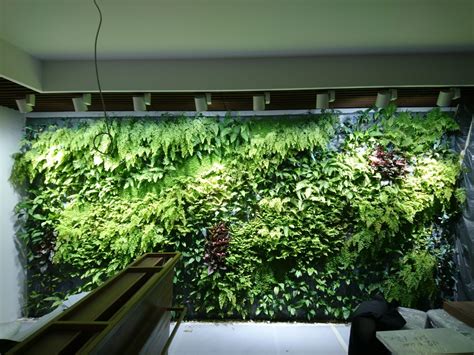 Вертикални градини от Мистър Грийн