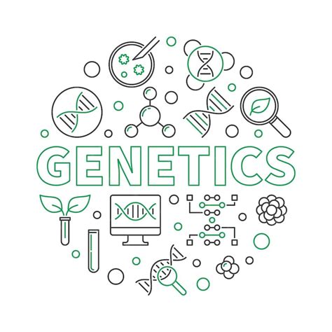 Genetics Drawing