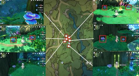 原神流浪者突破材料树王圣体菇快速采集点大全 突破材料树王圣体菇快速采集路线一览 极地安卓资源网