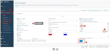 零代码生信文章的复现 知乎