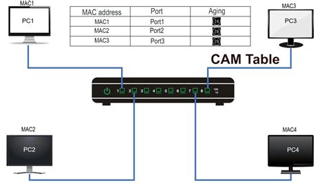 How Switch Learns The Mac Addresses Explained