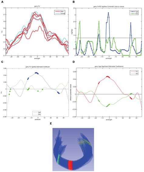 Examples Of Possible Plots From Functional Analysis Of Diffusion Tensor