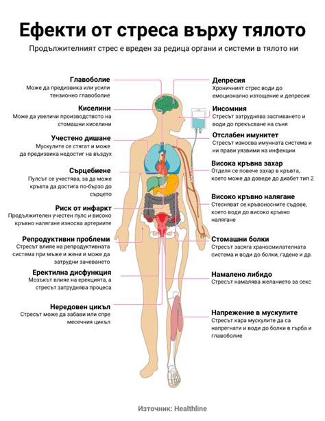 На какво се дължи стресът и как да го управляваме Homeostaza