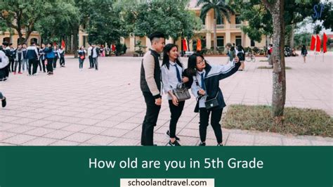 What Is CSFA Certification How To Get It Req Cost Skills FAQs