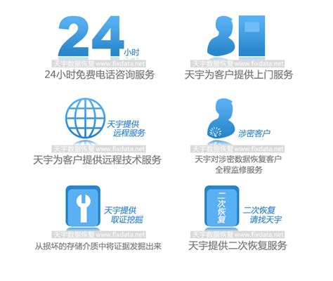 服务类型 天宇数据恢复中心