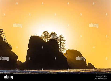 Point Of Arches Rocks At Sunset Viewed From Shi Shi Beach Along The
