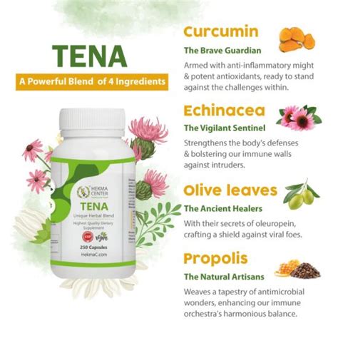 Herpes Care Bundle Heva Package Organic Supplements For Herpes Simplex Virus Hekma Center