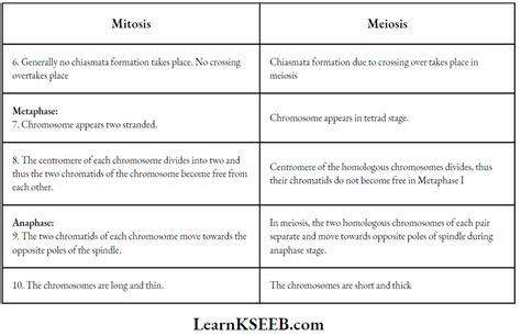 Karnataka Board Class 11 Biology Chapter 10 Cell Cycle And Cell