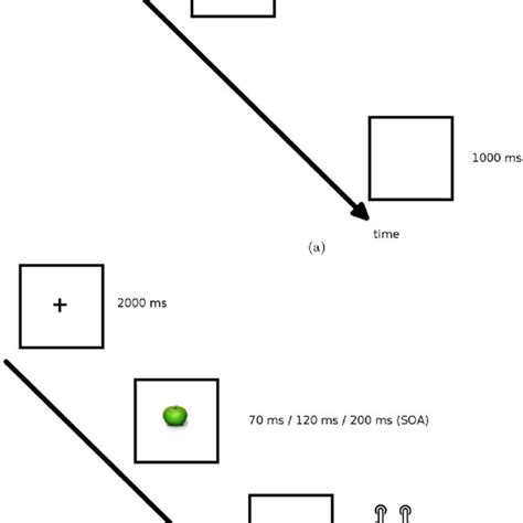 Timelines Of A Naming Trial And A Switch Trial In Experiment 1 A