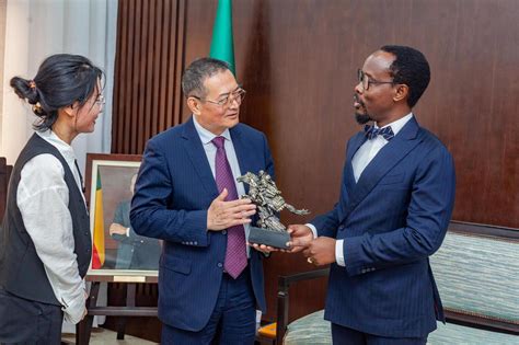 Le Ministre M Modeste Tihounté Kerekou A Reçu En Audience Lhonorable Luo Hongjiang Vice