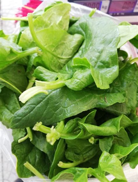 Поръчай Спанак листа произведен от Ферма Мили бери Хранкооп