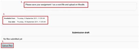 Assignment Information Technology Services