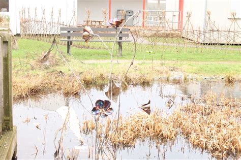 Photograph Two Aperture F4 Shutter Speed 1 100 Iso 400 White Balance Cloudy This Photograph Co