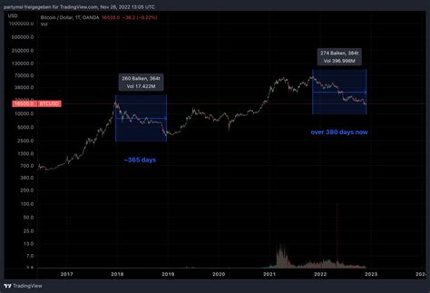 After More Than 380 Days Crypto Supporters Celebrate Surviving The