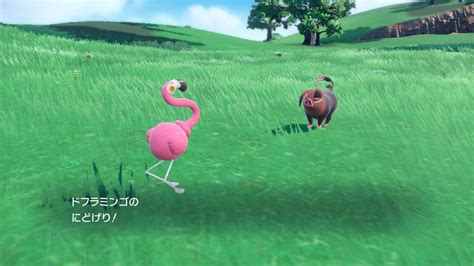 毛玉 On Twitter ドフラミンゴ41歳！！！トレーナーの前でにどげりキメるぞォ！！！！見てろテメェら！！フッフッフッフッ