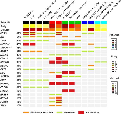 Genomic Heterogeneity Of Mutations Among Multiple Tumor Sites The