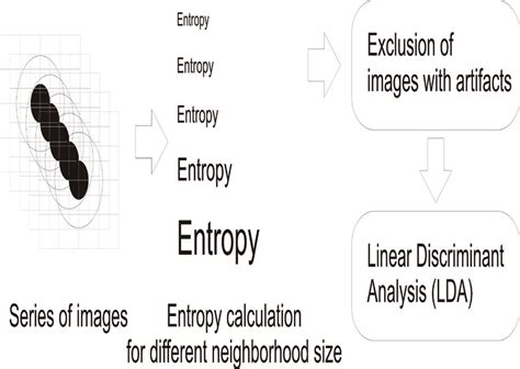 Scheme Of Analytical Procedure Download Scientific Diagram