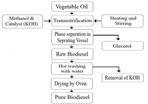 Transesterification Of Vegetable Oil Preparation Of Biodiesel Download Scientific Diagram