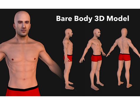 Bare Body D Model By Hashbyte Studio On Dribbble