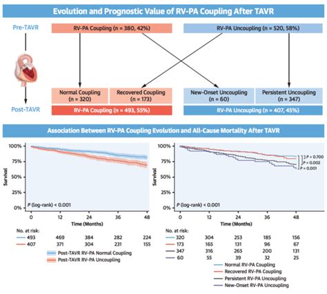 Evolution And Prognostic Impact Of Right Ventricularpulmonary Artery