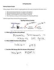 Cell Signaling Fill In Notes 29 Pdf Cell Signaling Notes Pathway Diagram Analysis Pathway