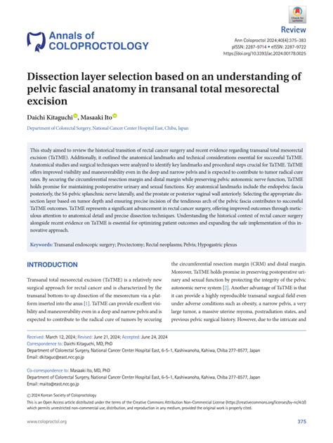Pdf Dissection Layer Selection Based On An Understanding Of Pelvic