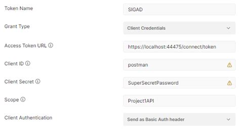 Machine To Machine Communication Does Not Work As A Client In Appsettings Json Issue
