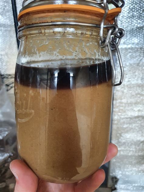 How To Make Mushroom Extracts Functional Mushrooms — Mushroom Culture