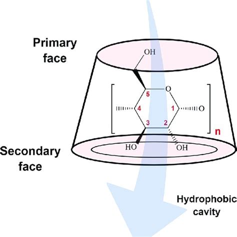 Schematic Illustration Of The 3d Structure Of Cyclodextrin Cd The Cd Download Scientific Schematic Illustration Of The 3d Structure Of Cyclodextrin Cd The Cd Download Scientific