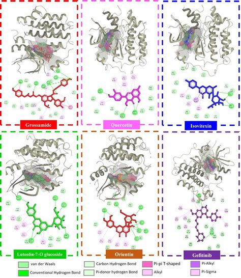 How Cegrib Bioinformatics Lab Transforms Drug Discovery Centre For Genomic Research In
