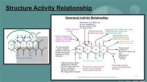PPT On Tetracycline Antibiotic 2 Pdf