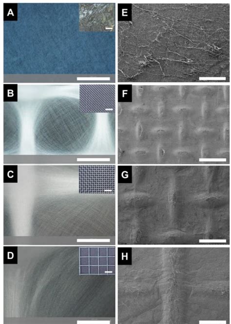 Electrospun Patterned Membrane