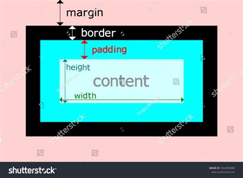 Css Padding And Margins Over 1 Royalty Free Licensable Stock