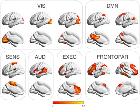 The 10 Ica Networks Identified Based On Spatial Correlations 3 With Download Scientific