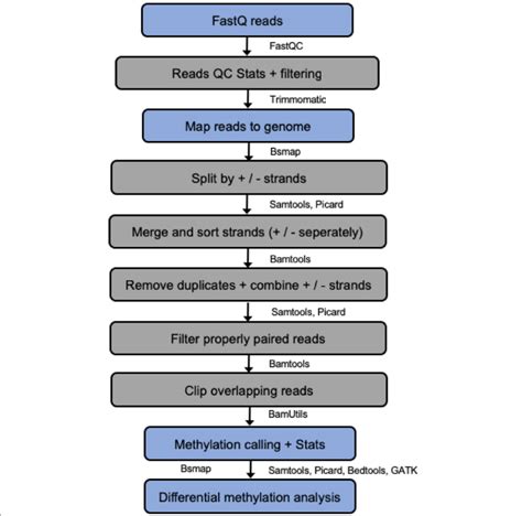 Workflow Of The Methylation Analysis Flow Chart Of The Steps Taken Download Scientific Diagram
