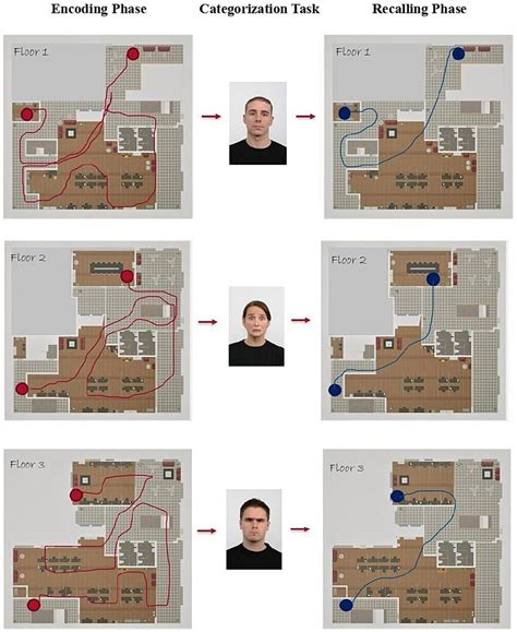 Example Of The Procedural Sequence With Footprints Encoding Phases Are
