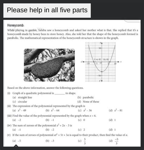 Honeycomb While Playing In Garden Sahiba Saw A Honeycomb And Asked Her M
