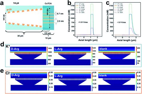A Calculation Model Of The 2d Computation Domain For The