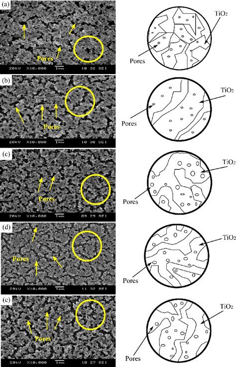 Sem Micrograph Of Agtio 2 Thin Film With Different Annealing Download Scientific Diagram