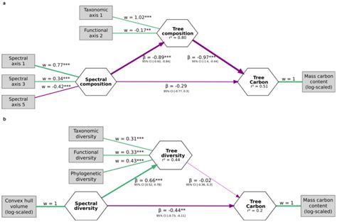 Separate Path Models For C Content Based On A Spectral Composition Download Scientific