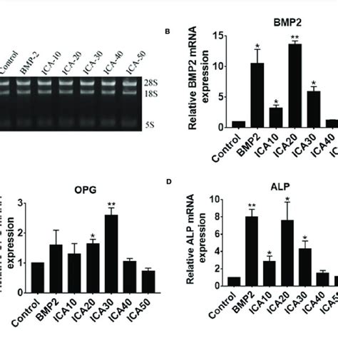 A Extraction Of Total RNA And Determination Of RNA Integrity Via Download Scientific