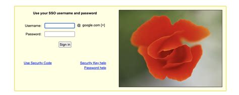 Dataset Issue Google Sky Optimization GitHub