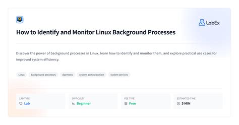 How To Identify And Monitor Linux Background Processes Labex