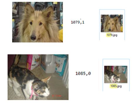 Classification With Keras Using Cnn Neural Network Model By Buse Yaren Tekin Analytics