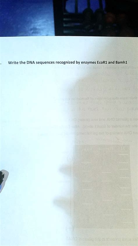 Solved Write The Dna Sequences Recognized By Enzymes Ecori And Bamhi