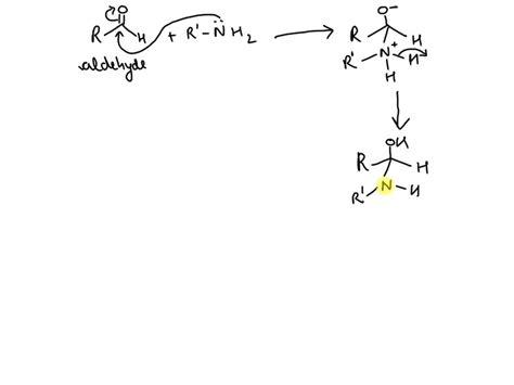 SOLVED Primary Amines React With Aldehyde Or Ketone Molecules To Form Imines Using An Aldehyde