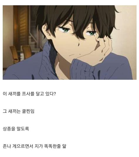 무조건 걸러야하는 애니 프사 Top3 오덕양성소 에펨코리아