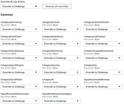 Tuto Startup How To Mitigate Bot Traffic By Implementing Challenge Action