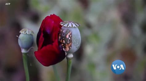 စစ်ကောင်စီရဲ့ အသံတိတ် လက်နက် ဦးအောင်ခင်ရဲ့ မြန်မာ့အရေး သုံးသပ်ချက