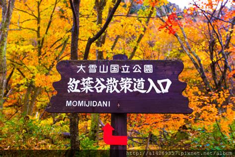 北海道層雲峽賞楓 紅葉谷公園銀河瀑布 毛弟潛旅 旅行團